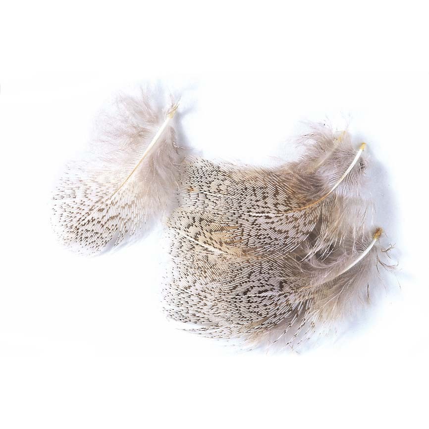 FUNFISH Fischereiartikel. VENIARD ENGLISH PARTRIDGE - GREY NECK FEATHERS